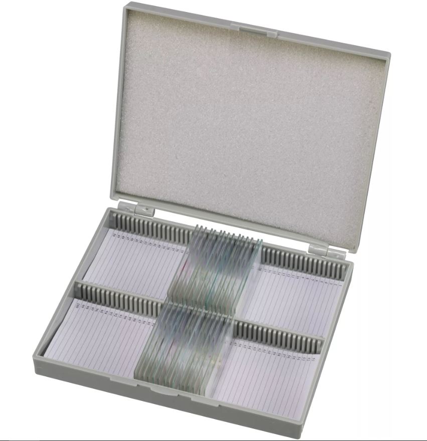 Bresser Prepared Slides Set 50pcs, with case – Türkiye’deki Levenhuk ...